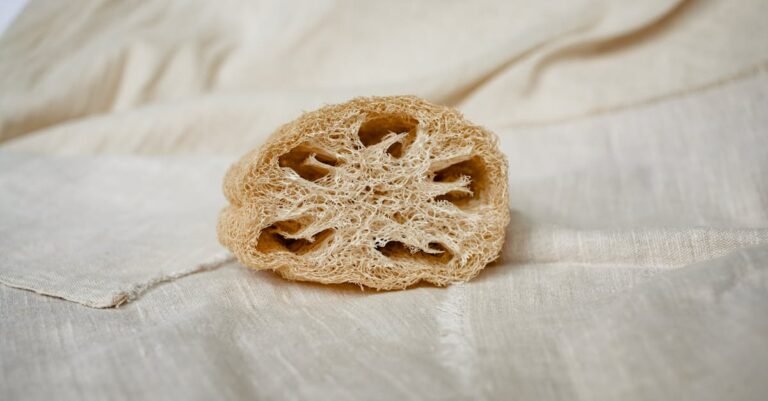 Delicious Sponge Gourd Recipe for Quick and Flavorful Meals